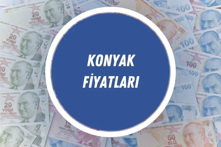 Güncel Konyak Fiyatları 2024 | 35’lik Konyak Kaç TL Oldu? – Fiyata Gel